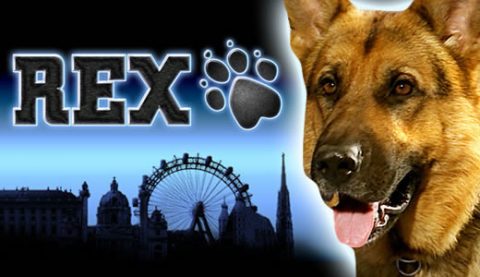 Commissaris Rex slot review (Novomatic) door CasinoJager.com