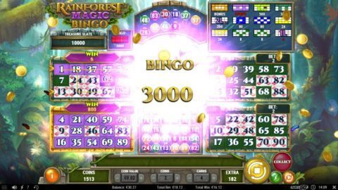 Rainforest Magic Bingo review (Play'n GO) door CasinoJager